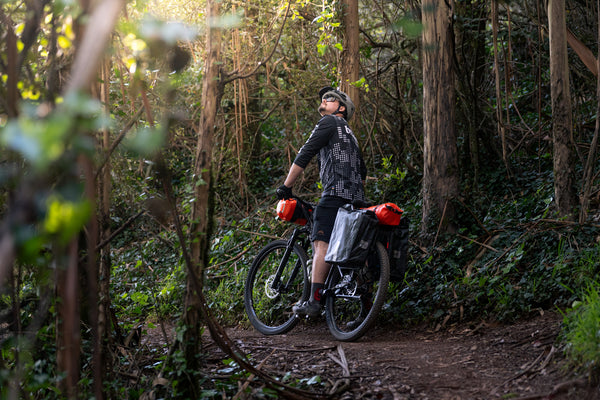 12 Speed Bike with Pinion Gearbox | PRIORITY 600 | Priority Bicycles
