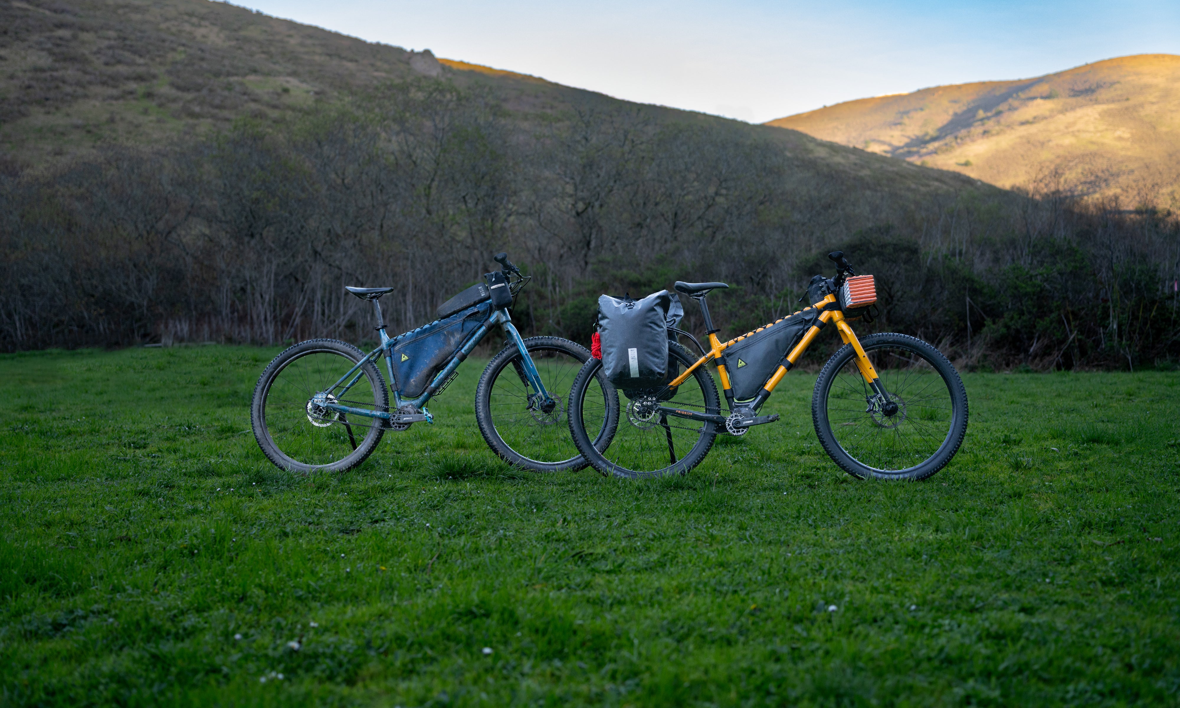 Priority Bruzer – Priority Bicycles