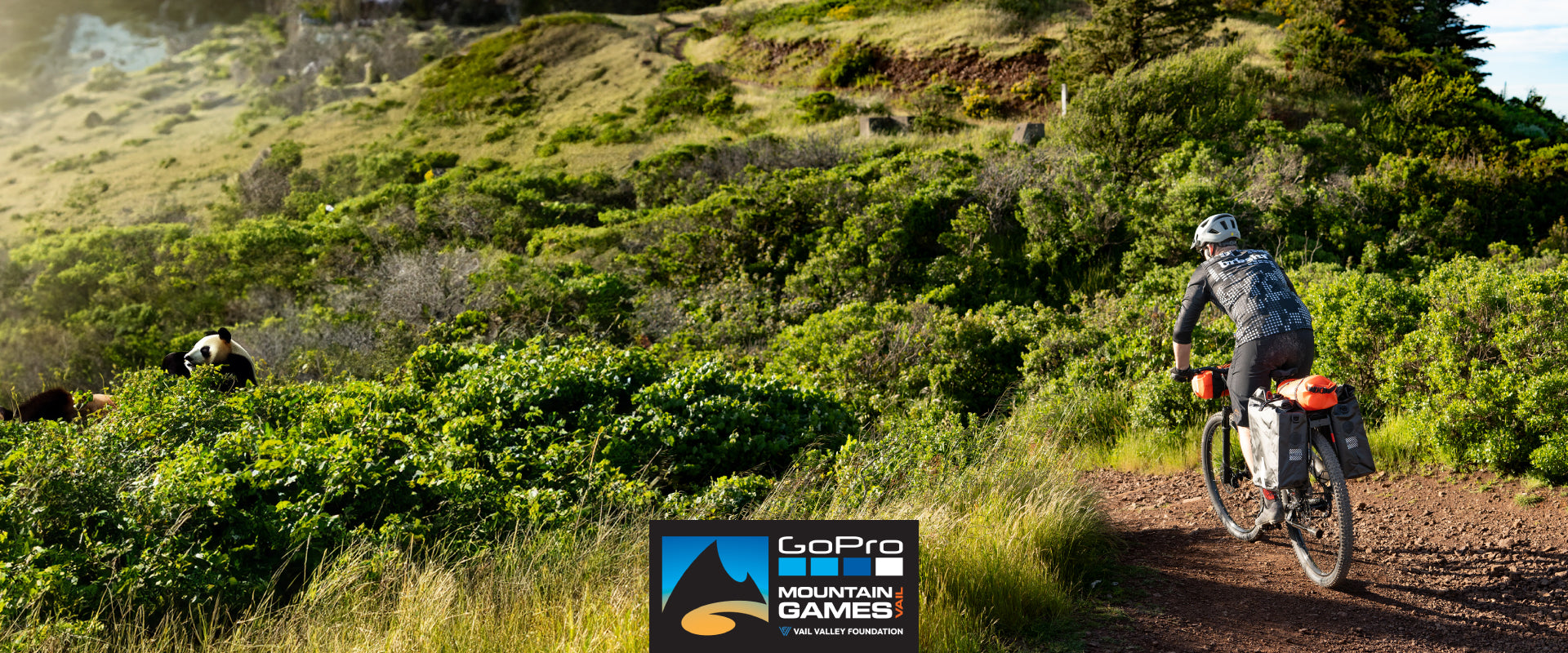 GOPRO GAMES SWEEPSTAKES – Priority Bicycles