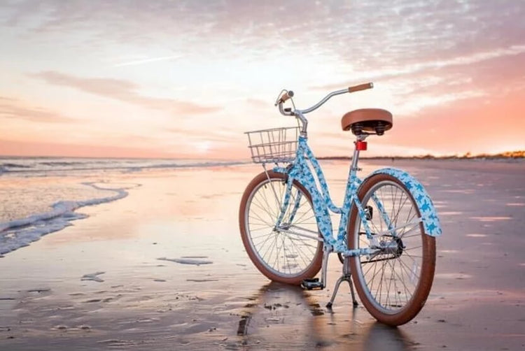 Best Recreational Bikes – Low Maintenance Bikes – Priority Bicycles