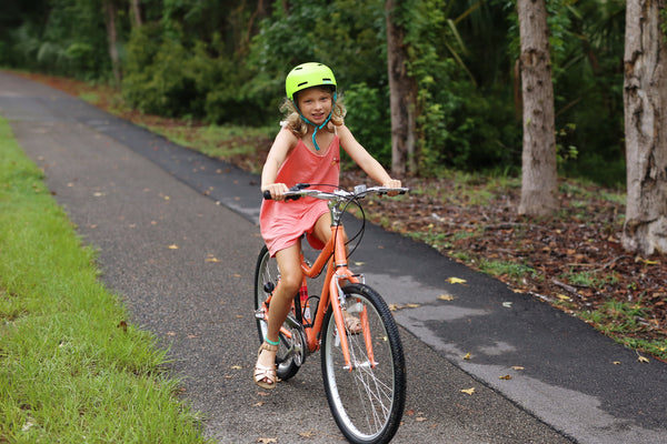 12 Speed Bike with Pinion Gearbox | PRIORITY 600 | Priority Bicycles