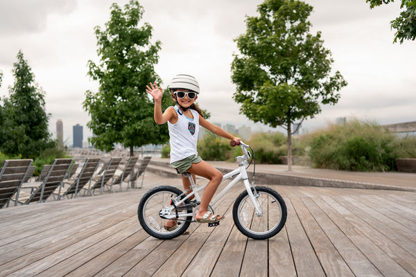 12 Speed Bike with Pinion Gearbox | PRIORITY 600 | Priority Bicycles